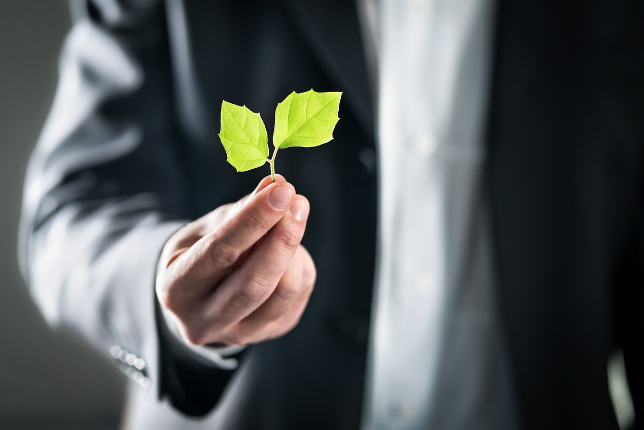 Environmental governance and EU Exit: the state of play | Public policy ...